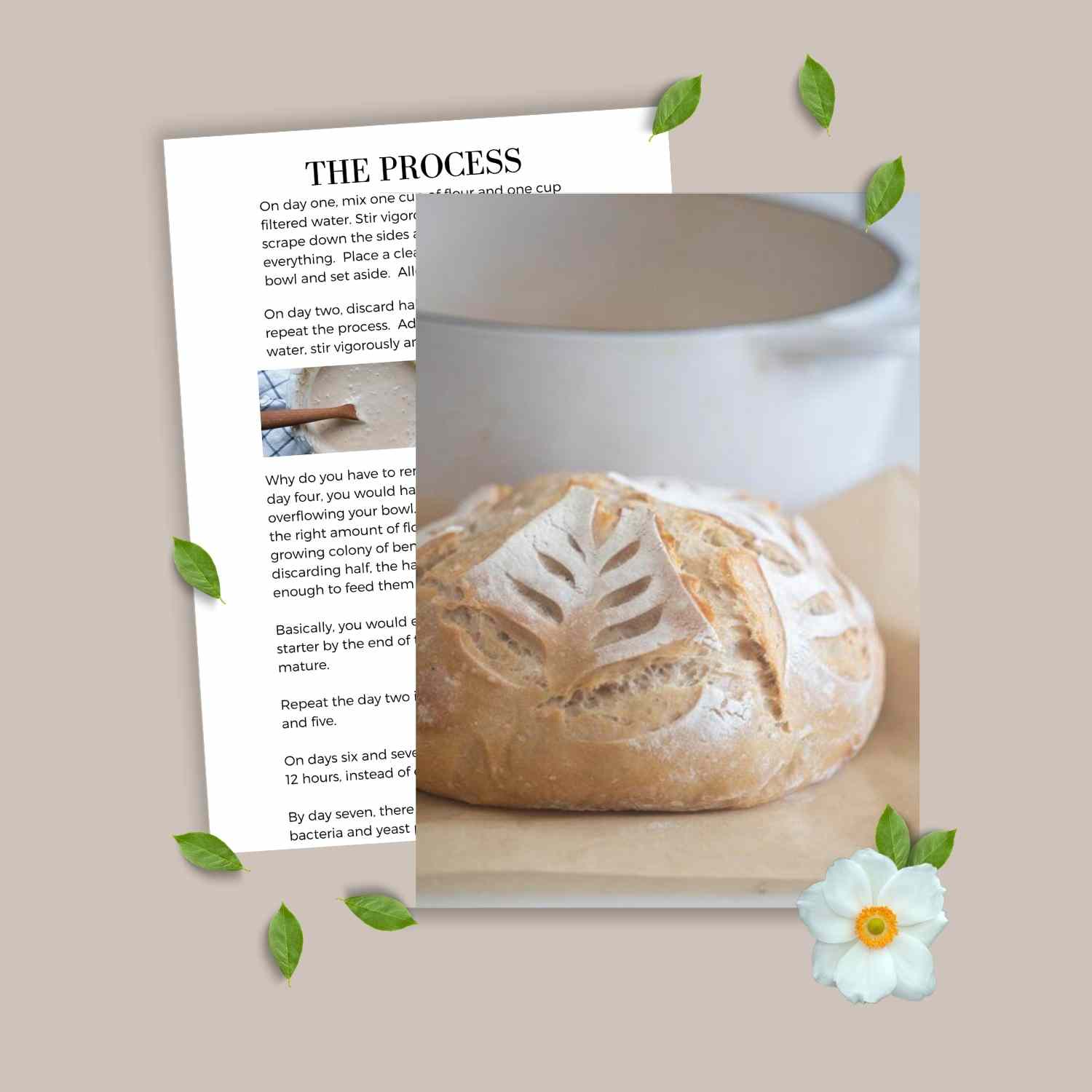 Simple farmhouse LIFE – a podcast by Lisa Bass of Farmhouse on Boone